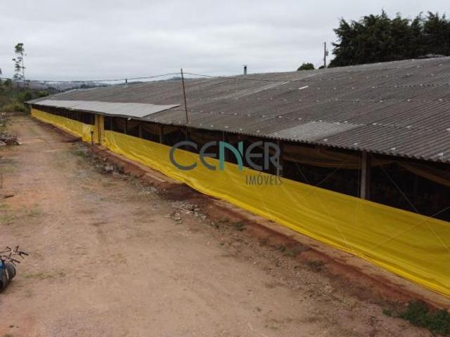 GRANJA DE FRANGO BEM MONTADA EM PLENA ATIVIDADE COM ÁREA DE 2 HA