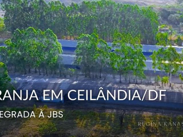 Granja de frangos de corte no DF | 25,17 ha | 3 aviários | Integrada à JBS | 250 m da BR 070