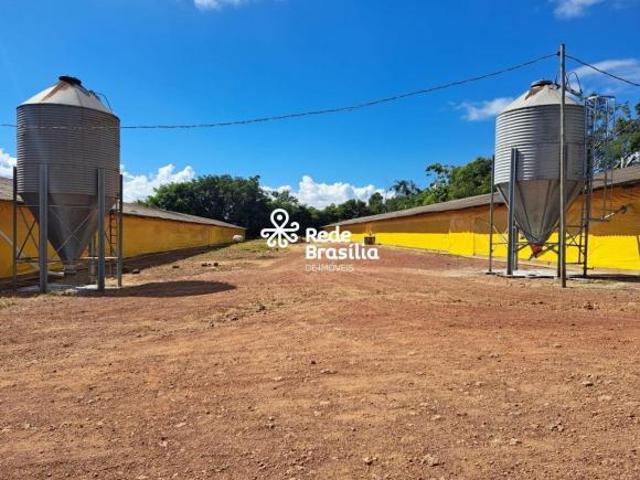 GRANJA EM PLENA PRODUÇÃO IMÓVEL RURAL ESTRUTURADO E ALTAMENTE PRODUTIVO, PLANALTINA DF
