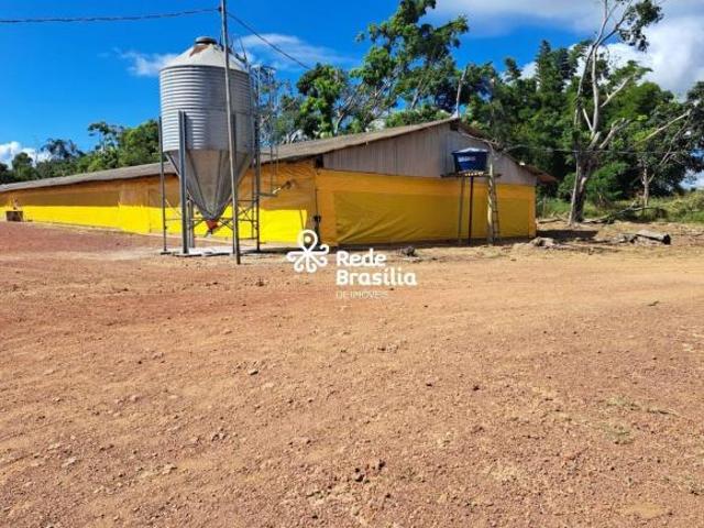 GRANJA EM PLENA PRODUÇÃO IMÓVEL RURAL ESTRUTURADO E ALTAMENTE PRODUTIVO, PLANALTINA DF