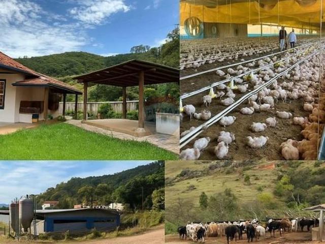 GRANJA MORADA DAS PEDRAS Propriedade de 15,75 alqueires de área total – BRAGANÇA PAULISTA/SP