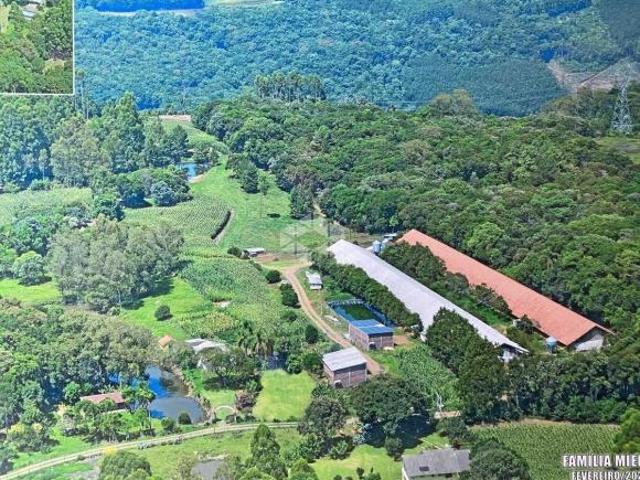 Granja porteira fechada a venda