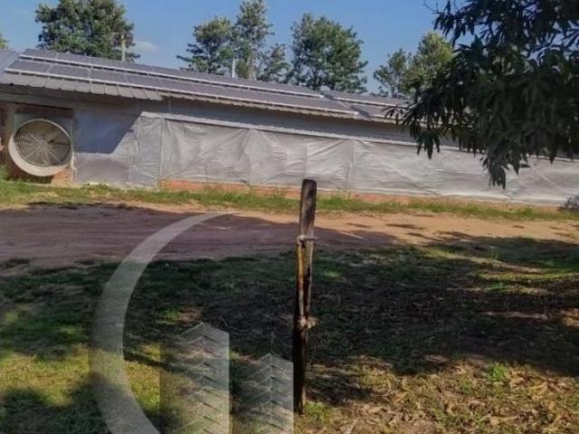 Granja para Venda em Corumbataí, Corumbatai, 6 dormitórios, 1 suíte, 5 banheiros, 4 vagas