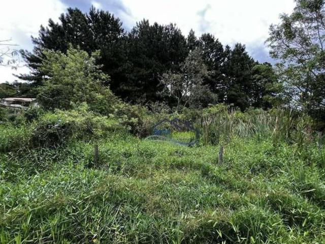 GRANJA VIANA FAZENDINHA
