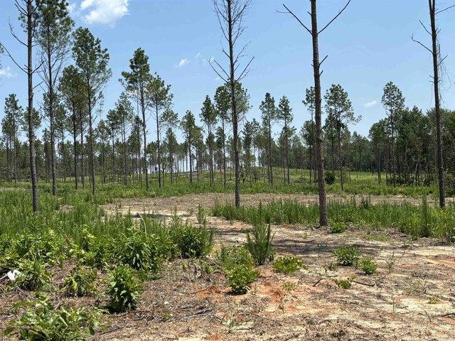 Grant 43 # D, Sheridan, AR 72150