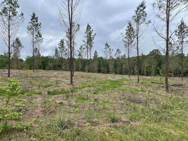 Grant 433, Sheridan, AR 72150