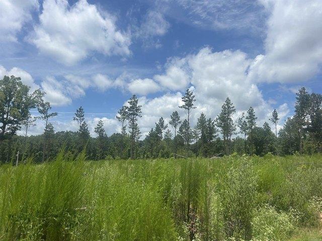 Grant 433, Sheridan, AR 72150