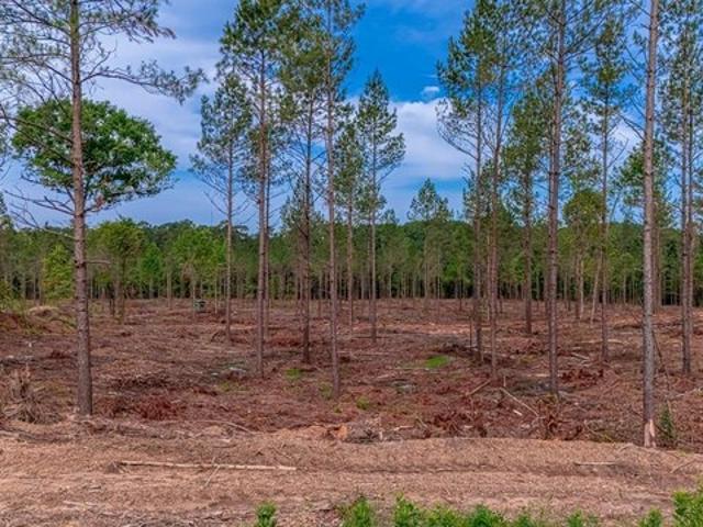 Grant 55 Lot 1, Hensley, AR 72065
