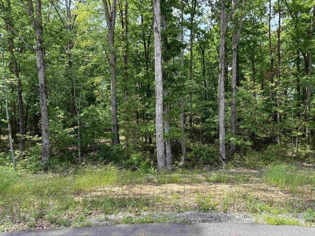 Grant 763 Lot 23, Sheridan, AR 72150