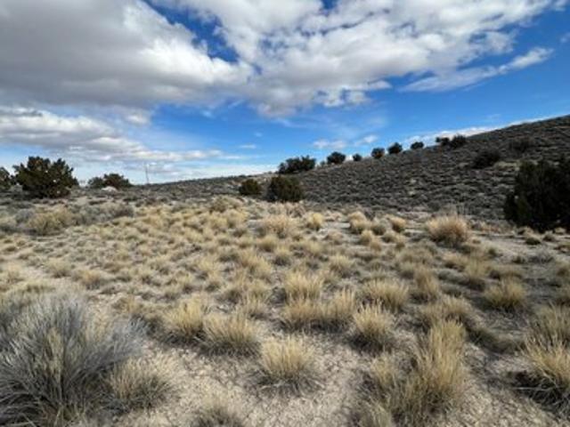 Grant Ave, Spring Creek, NV 89815
