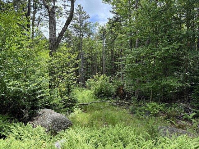 Grant Rd, Washington, Plot For Sale