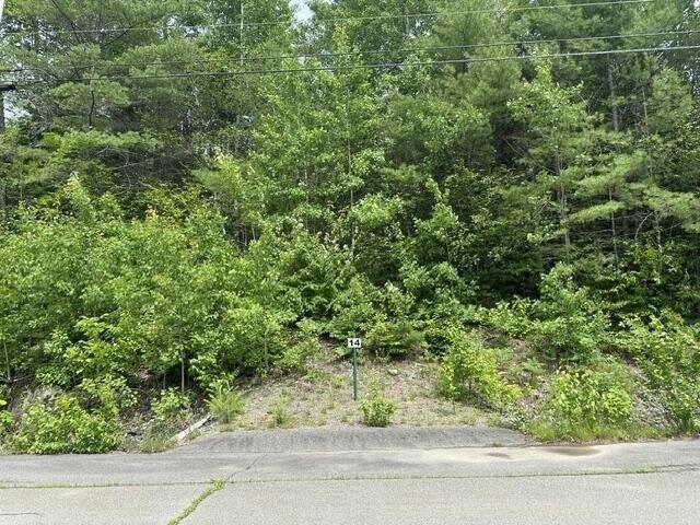 Grant Rd Lot,orono, Plot For Sale
