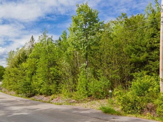 Grant Rd Lot,orono, Plot For Sale