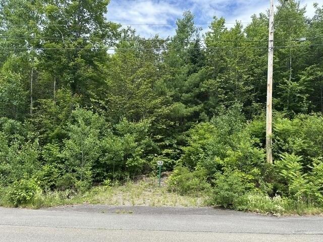 Grant Rd Lot,orono, Plot For Sale