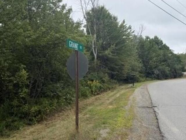 Grant Rd Lots And,orono, Plot For Sale