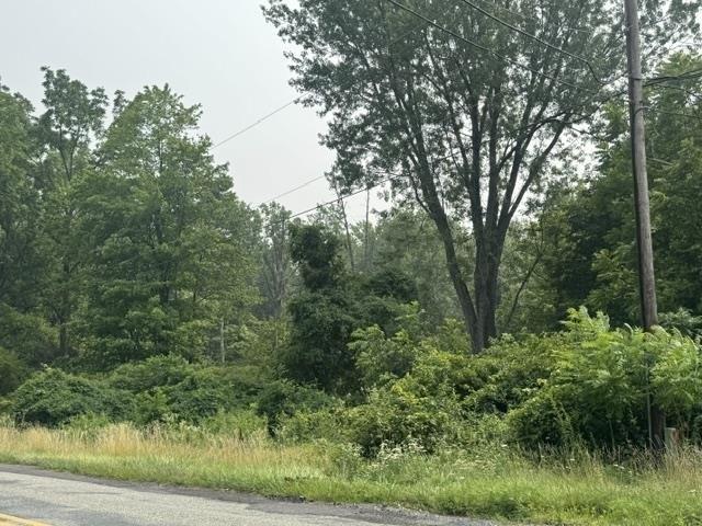 Grant Rd, Lower Milford Township, PA 18036
