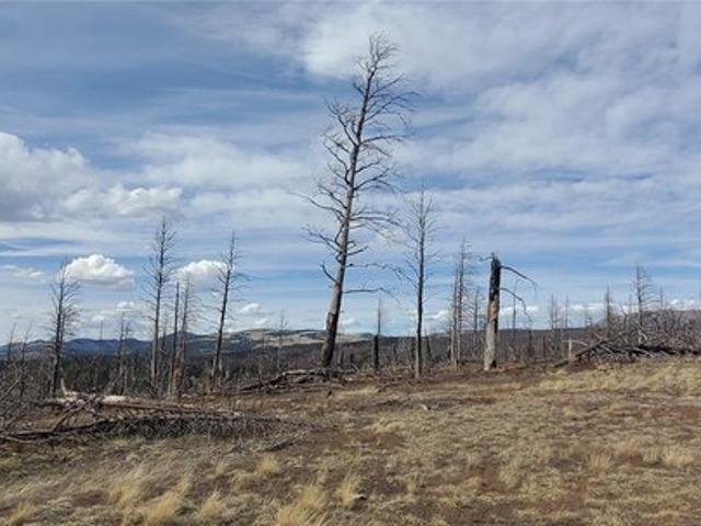 Granville Loop Lot 1227, Fort Garland, CO 81133