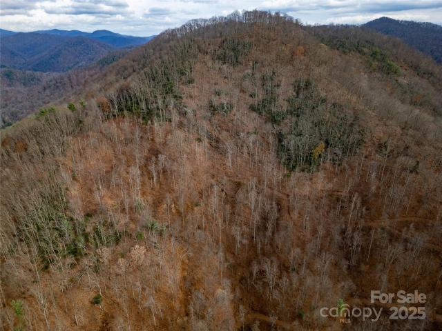 Grapevine Rd, Marshall, NC 28753 | MLS #4321