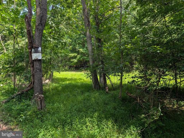 Grasshopper Hollow/Sir John'S Run # P/O PAR 32