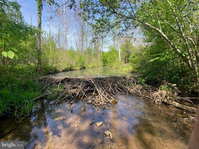 Grassland Unit 8A, Sandy Level, VA 24161