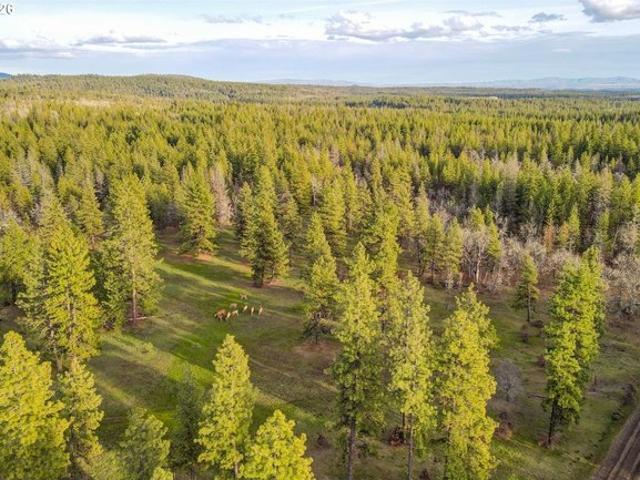 Greyback Mt Rd Lot 15, Goldendale, WA 98620
