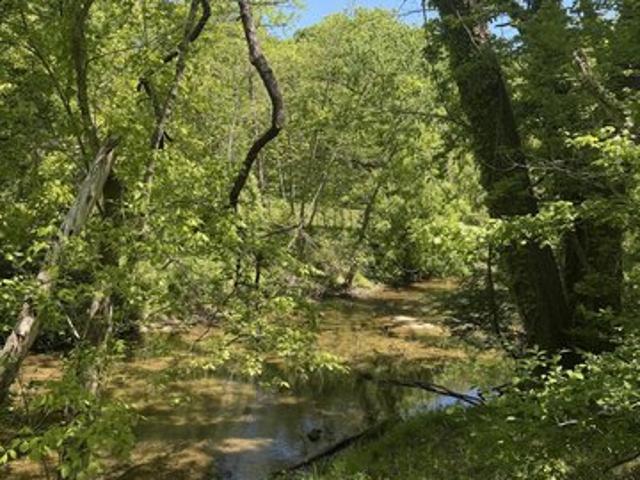 Greyholme Ln, Roanoke, VA 24019