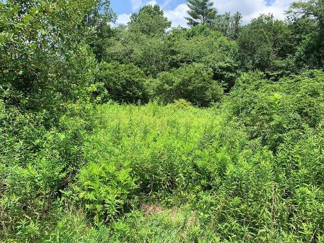 Greasy Creek 76 Acre Rd Lot 17, Murphy, NC 28906
