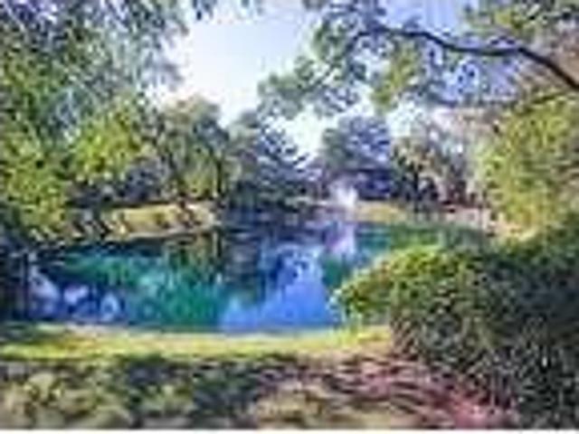 Great 1Bed 1Bath Available Today $1310/month