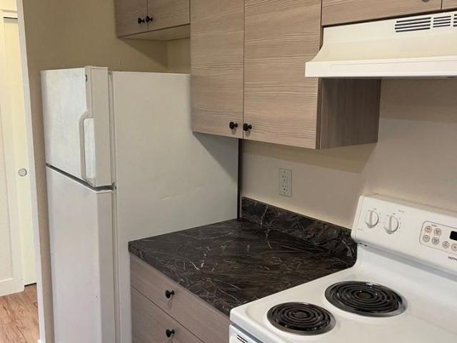 Great 2 bedroom apartments 2 Bedroom Apartment for Rent at 1016 Prospect Ave Ne, Olympia, WA 98506