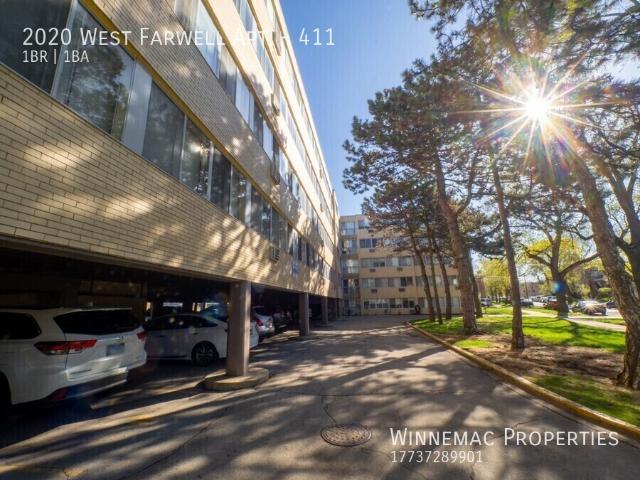 Great Apartment For Rent