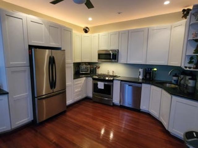 Great house share in West Mount Airy
