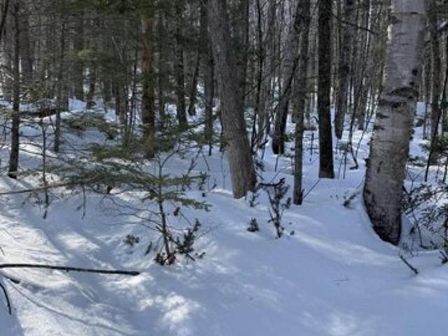 Great Moose Pond Dr, Hartland, Plot For Sale