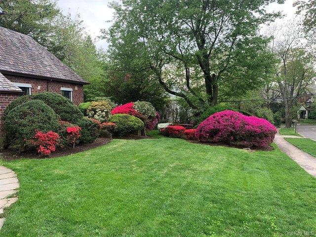 Great Neck, NY 11020
