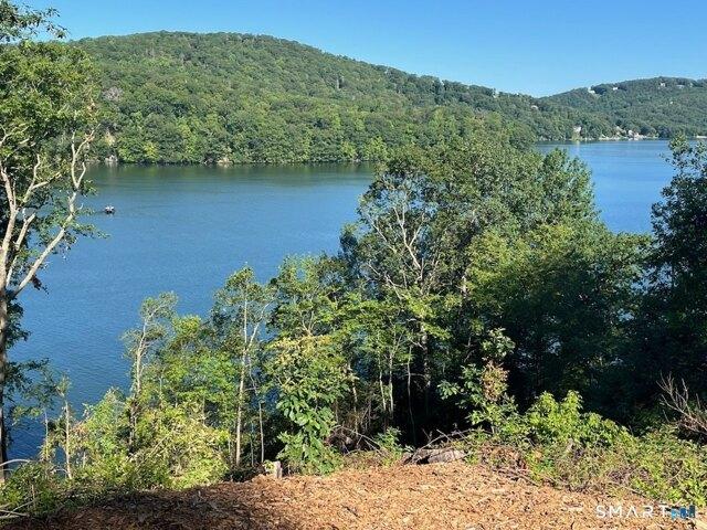 Great Plain Rd, Danbury, Plot For Sale