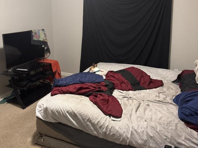 Great room in the center of Baltimore