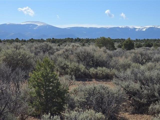 Green Tree Ct Lot 18, San Luis, CO 81152