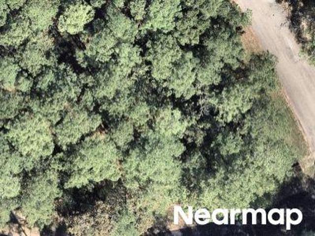 Green Tree Dr