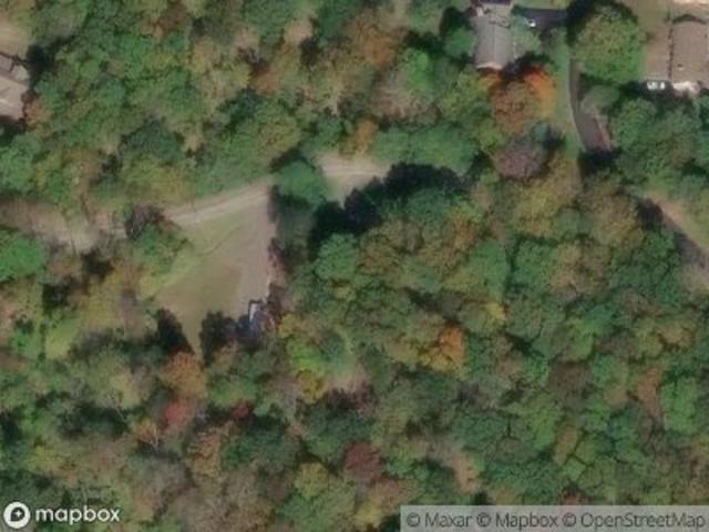 Green Violet Dr