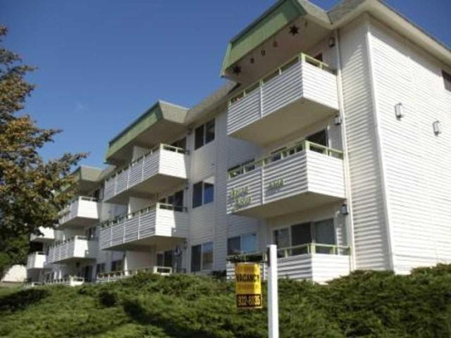 Mid Century Modern West Seattle Apartment 1 Bedroom Apartment for Rent at 5656 California Ave Sw, Seattle, WA 98136 Fairmount Park