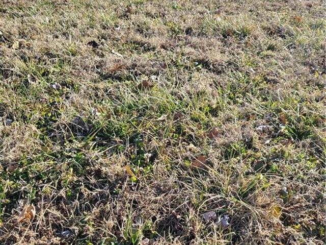 Green Acres 3.25 ac