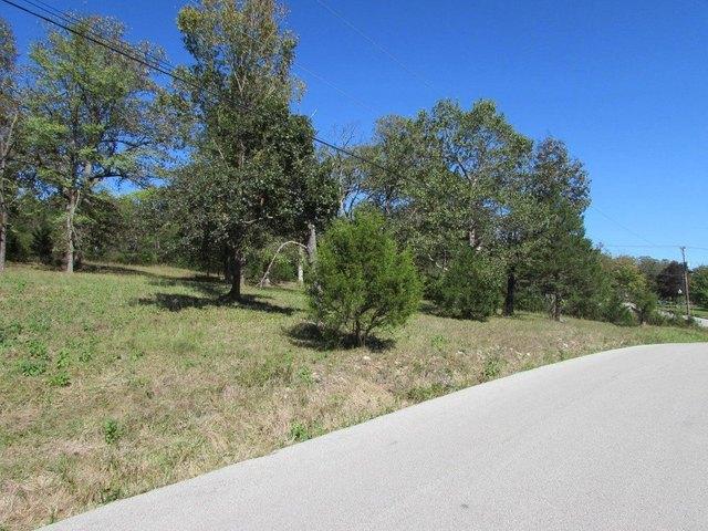Green Briar Dr, Branson, MO 65616