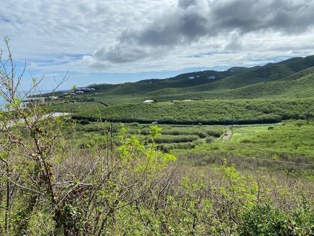 Green Cay Ea, Saint Croix, Plot For Sale
