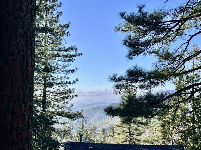 Green Craig, Idyllwild, CA 92549 | MLS #2011 | Compass