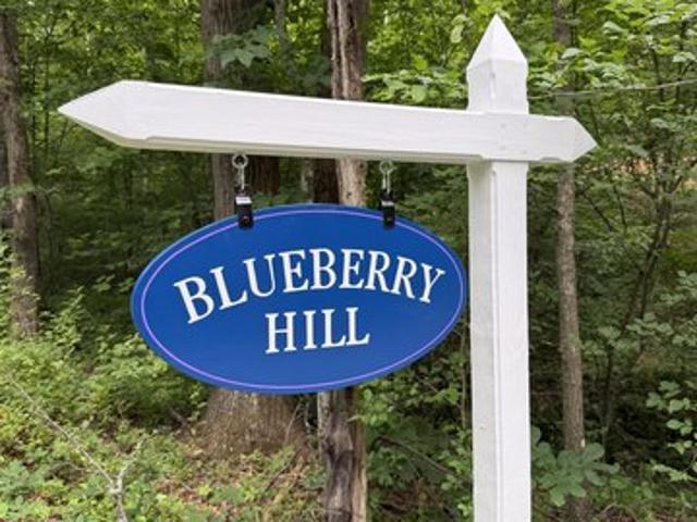 Green Creek Rd, Schuyler, VA 22969