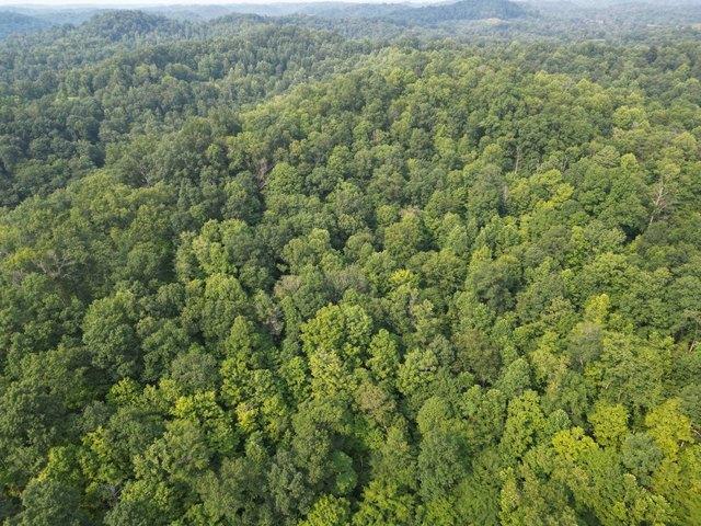 Green Crk, Walton, WV 25286