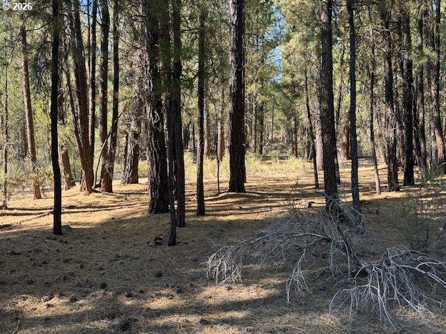 Green Forest DR # Lot 3