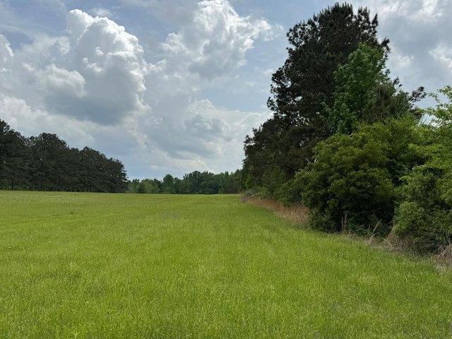 Green Gable Rd, Terry, MS 39170
