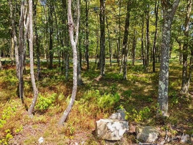Green Jacket Ct Lot 20, McHenry, MD 21541