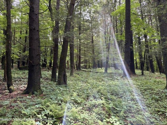 Green Lake Rd, Athens, NY 12015