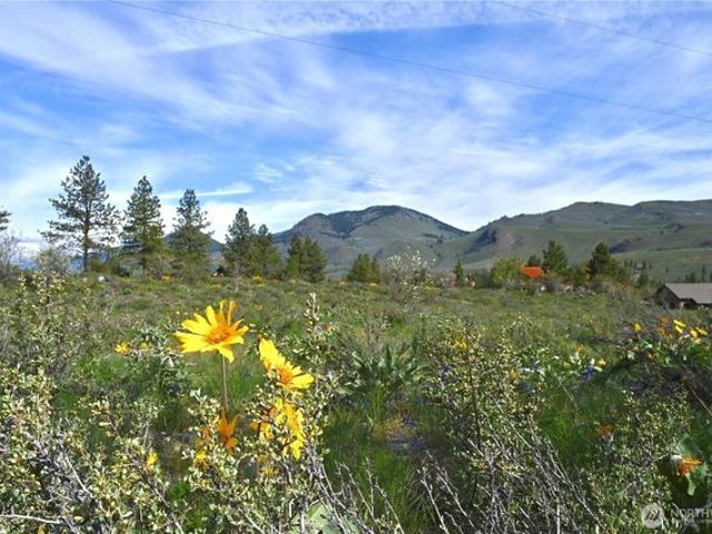 Green Mdws Lot 10, Winthrop, WA 98862